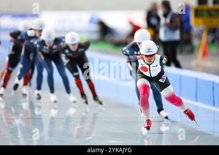 Speed Skating Women's Mass Start, Speed Skating, at the Olympic Winter ...