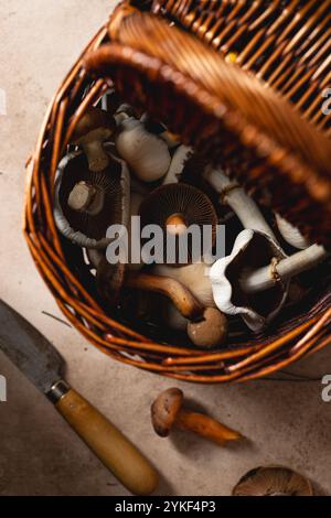 Overhead view of harvested mushrooms in containers on wooden table ...