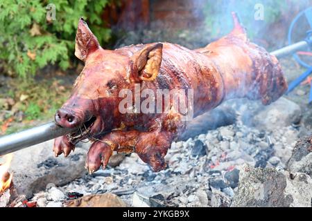 Traditional whole pig roast on outdoor spit, in Slovakia, Central ...