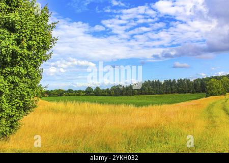 North German agricultural field forest trees nature landscape panorama ...