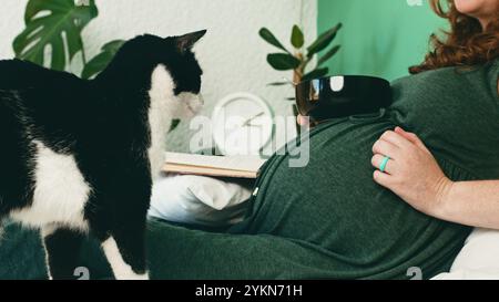 A pregnant woman in a cozy home atmosphere. Waiting for a child in the ...