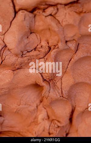 plastic clay for modeling closeup, a special paste with the addition of ...