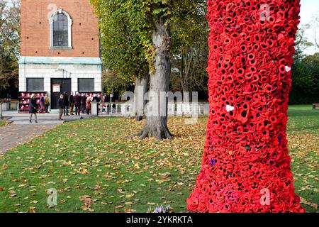 tree wrapped in knitted poppies in queens park loughborough Stock Photo ...