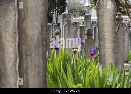 A picture of the tombstones on the cemetery of the Suleymaniye Mosque ...