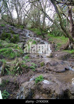 Water flowing down a hillside through some rocks creating a river on ...