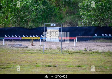 Rifle shooting target, 50m bench rest sport sporting shoot, gun ...