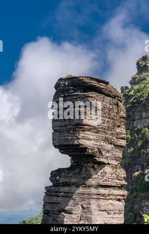Fanjingshan old golden summit scenery and mushroom shaped stone with ...