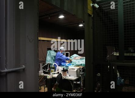 Specialist wildlife veterinary surgeon, Romain Pizzi (left) performs ...