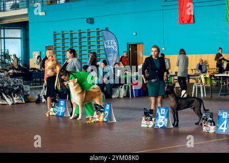 A diverse crowd of people gathered indoors, looking upwards with varied ...