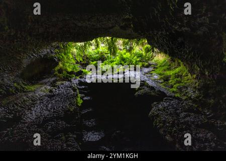 The Furna de Frei Matias is a lava cave below the Pico Mountain on Pico ...