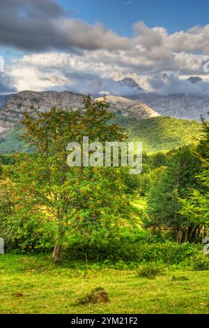 San Juan de Beleño. Ponga Council. Asturias. Spain Stock Photo - Alamy