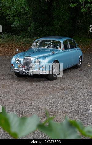 1967 Daimler 340 V8 British classic car Stock Photo - Alamy