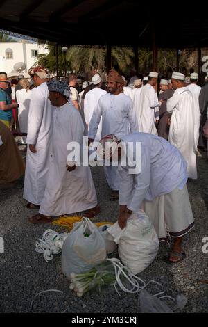 tethering goats at nizwa livestock market oman middle east Stock Photo ...