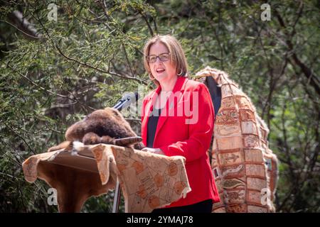 Victorian Premier Jacinta Allan speaks to media during an announcement ...