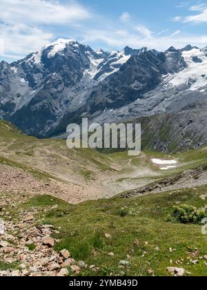 The Ortler Alps near Stelvo Pass at sunset in summer, clouds around the ...