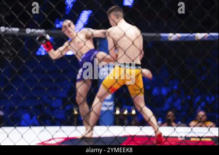 blurred background of mma fight ring with fighter champion decoration ...