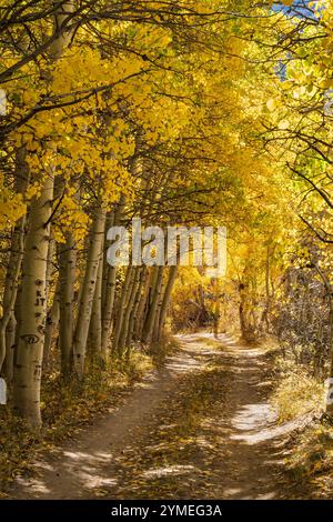 Conway Summit Colors Stock Photo - Alamy