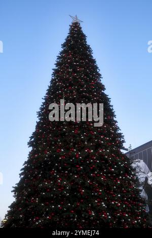 Large Christmas tree with lights, Roermond, Netherlands Stock Photo - Alamy