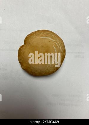 Mulch Fieldcap (Agrocybe putaminum Stock Photo - Alamy