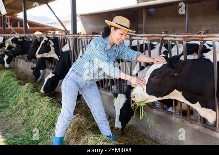 Farm worker feeding grass to cows in barn Stock Photo - Alamy