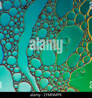 Bubble patterns created by oil on water against a coloured background ...