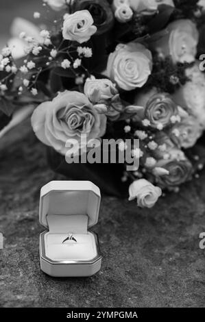 A Heartfelt Proposal Stock Photo - Alamy