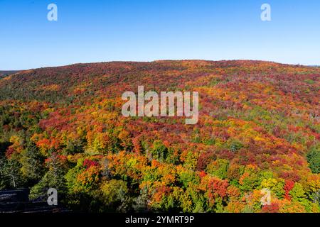 Colorful autumn trees; Lutsen Mountain, Lutsen, Minnesota, USA Stock ...