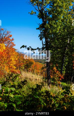 Colorful autumn trees; Lutsen Mountain, Lutsen, Minnesota, USA Stock ...