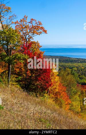Colorful autumn trees; Lutsen Mountain, Lutsen, Minnesota, USA Stock ...