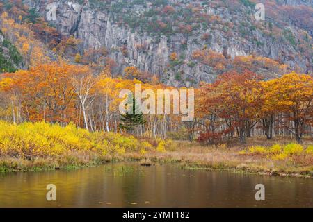 Beautiful fall colors of Acadia National Park in Maine USA Stock Photo ...