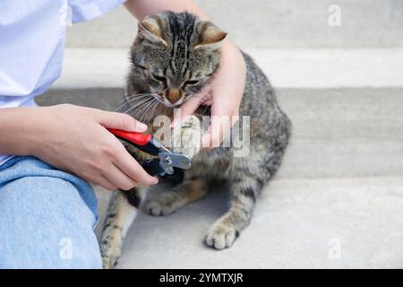 Young woman cutting cat claws at home, closeup Stock Photo - Alamy