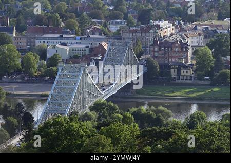 Blue Wonder bridge or Loschwitz Bridge, Dresdner Elbhänge, Dresden ...
