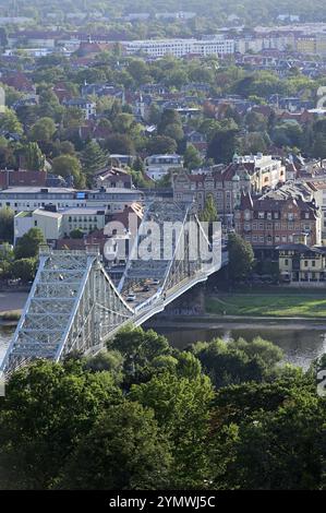 Blue Wonder bridge or Loschwitz Bridge, Dresdner Elbhänge, Dresden ...