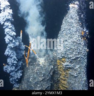 Hydrothermal vents in pacific ocean deep sea exploration 2025 ...