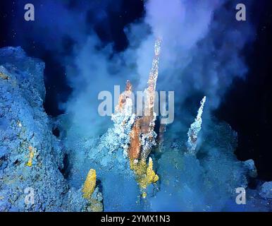 Hydrothermal vents in pacific ocean deep sea exploration 2025 ...