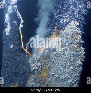 Hydrothermal vents in pacific ocean deep sea exploration 2025 ...