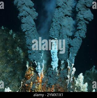 Hydrothermal vents in pacific ocean deep sea exploration 2025 ...