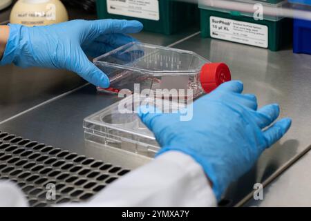 Medizin - Diagnostik - Laborforschung Zellkultur Arbeiten an der ...