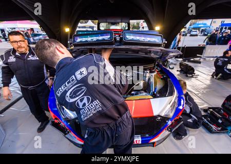 CAMILI Eric, DE LA HAYE Thibault, Hyundai i20N Rally2, 2C Competition ...