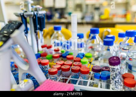 Well-Organized Laboratory Workbench Featuring Chemical Supplies, Sample ...