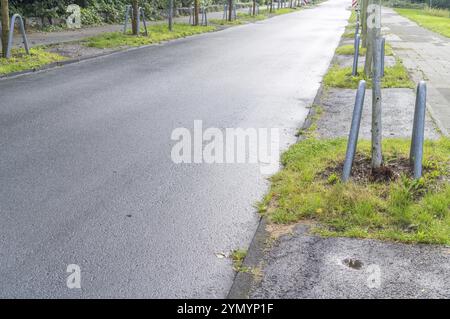 Metal brackets protect street trees Stock Photo - Alamy