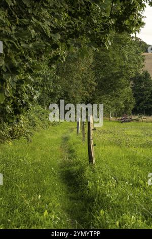 Landscape in Upper Lusatia Weifa Stock Photo - Alamy