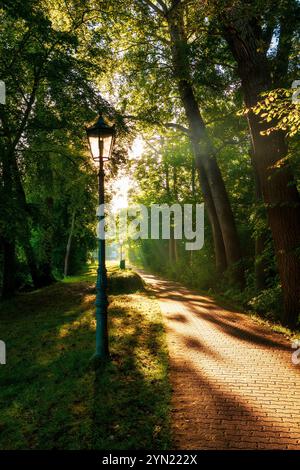 Street lamp illuminated with sun rays Stock Photo - Alamy
