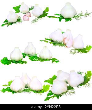 Garlic, decorating of parsley. Isolated over white Stock Photo - Alamy