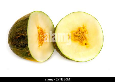 Melone Verde Sardo, also known as Piel de Sapo on a white background ...