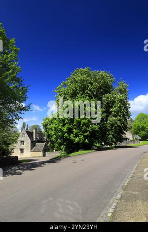 Summer view of Duddington village with St Marys Church ...