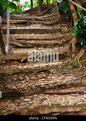 Serene Pathway Through Lush Forest with Tranquil Green Vibes Stock ...