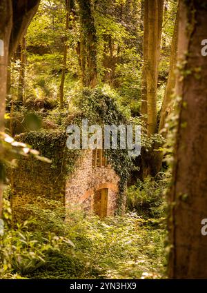 UK, England, Somerset, Quantocks, Holford, Combe House Hotel, England’s ...