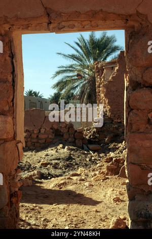 Souk Al Ahad, Kebili, Tunisia. 15th Nov, 2024. The sixth session of the ...