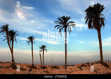 The Debabcha Zone in Souk Al-Ahad in the governorate of Kebili ... The ...
